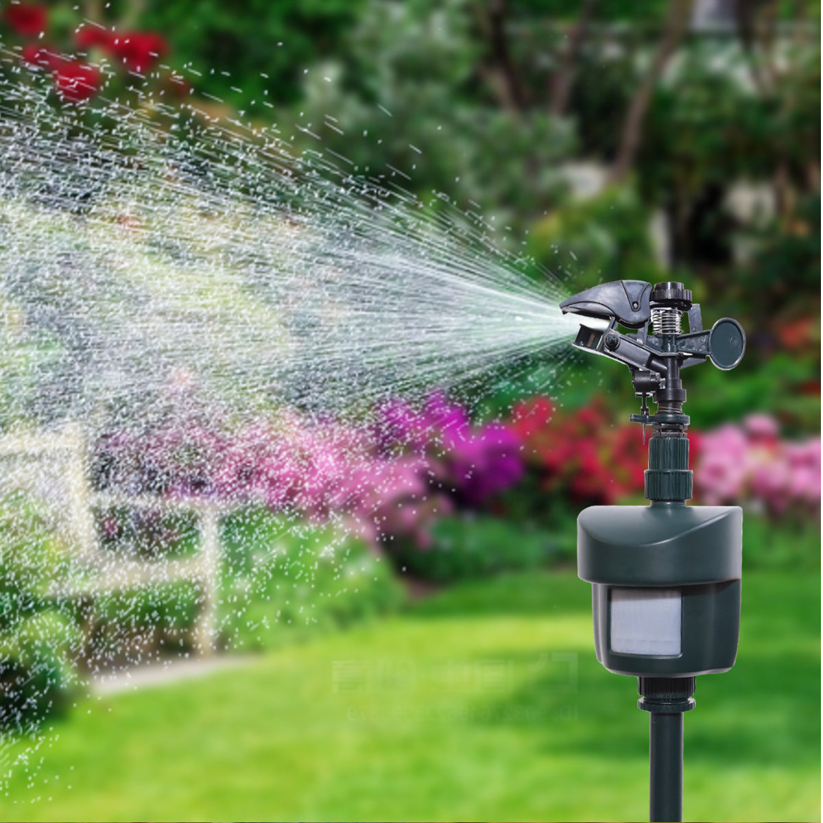 Collections – Aqualin Official Store