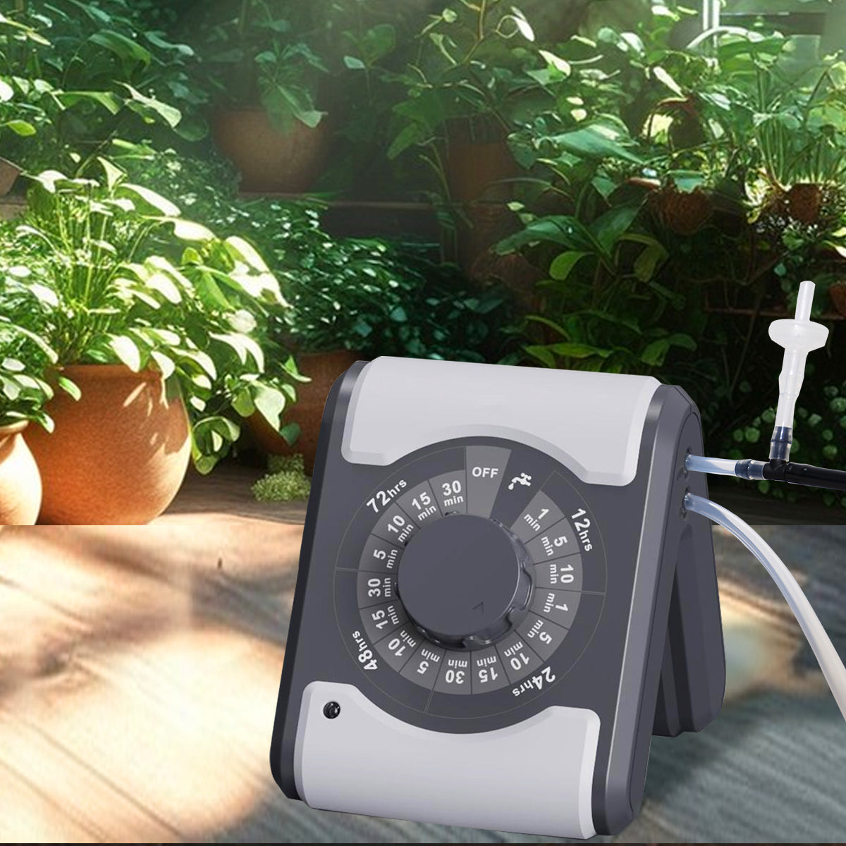 Collections – Aqualin Official Store